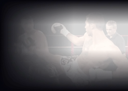 Lessons From Fighting